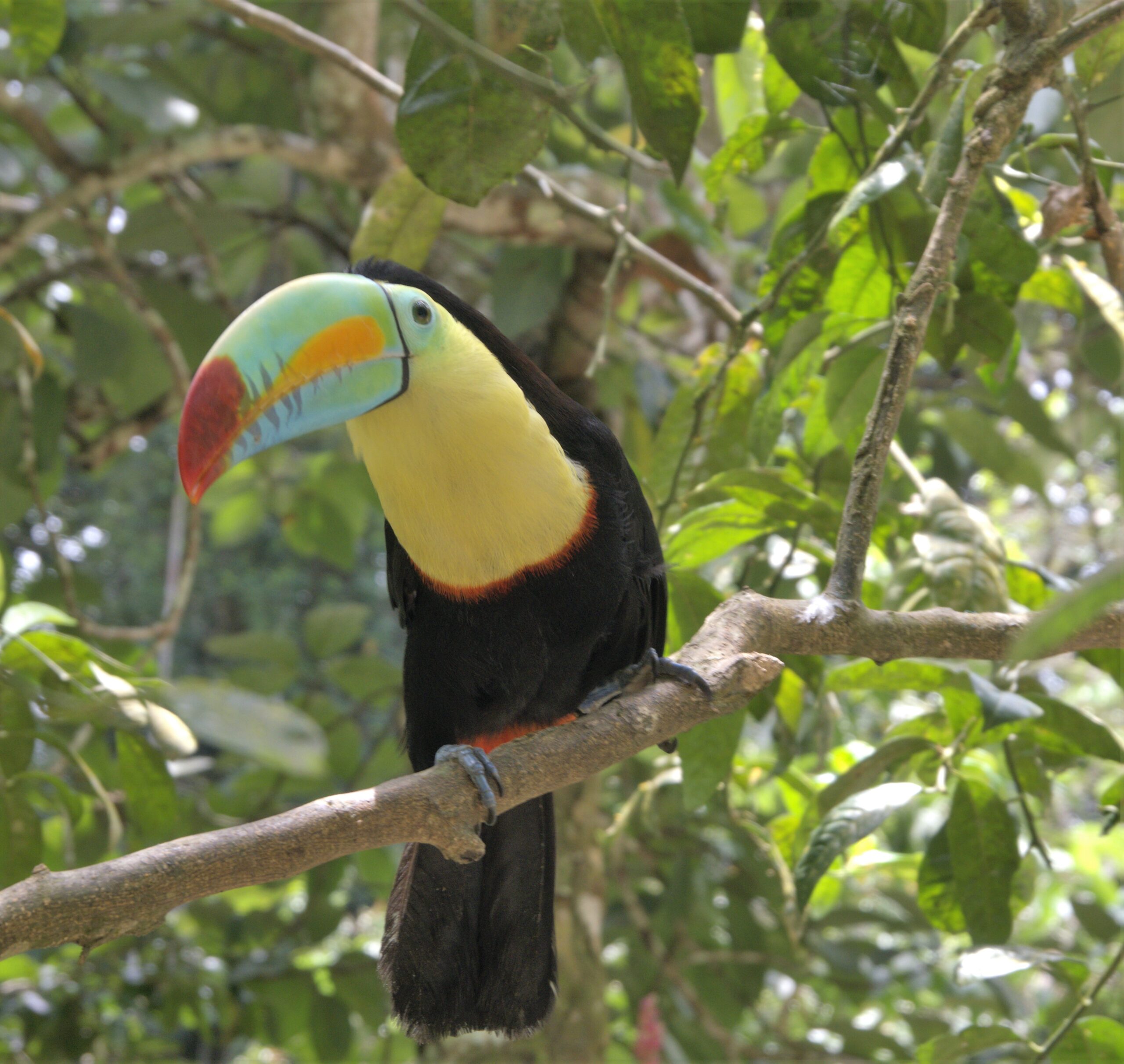 The Many Faces of Colombia - Travel Better Live Better